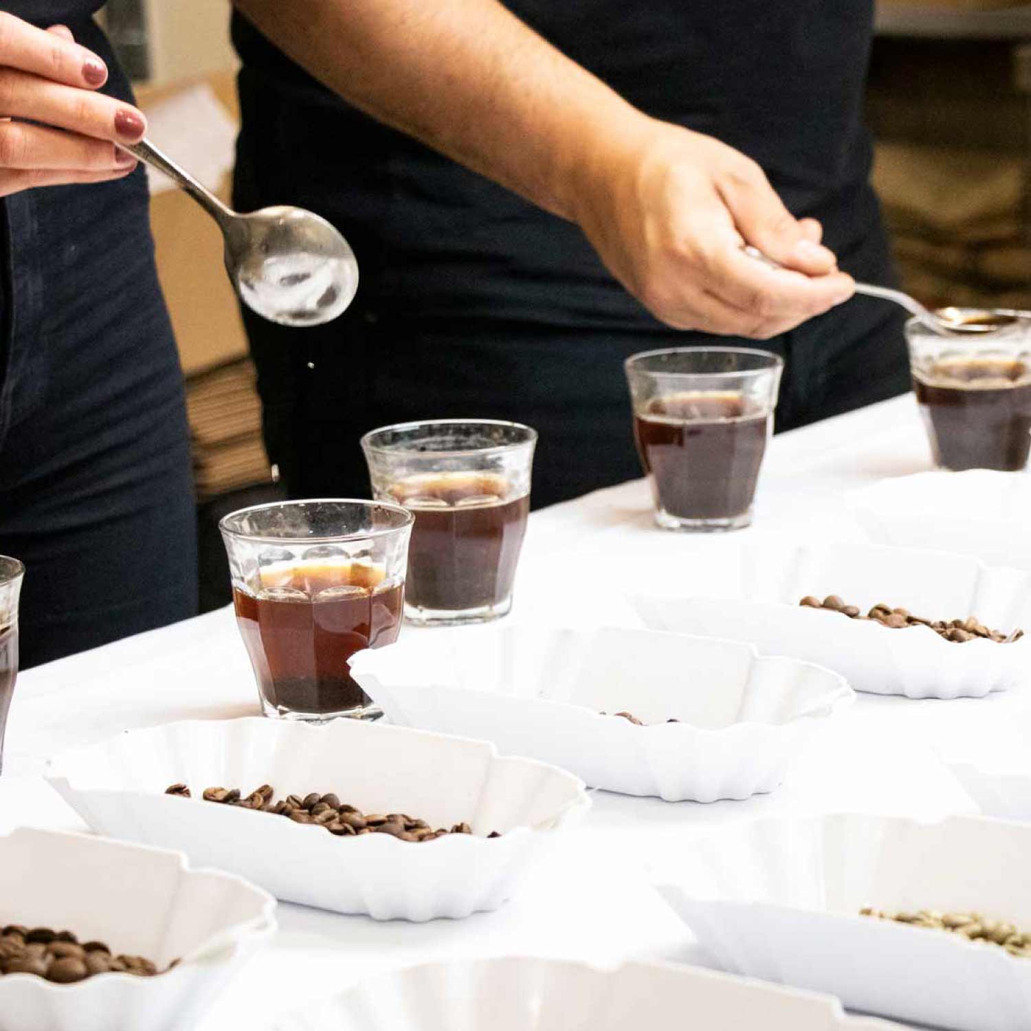 Wholesale | Reeham Coffee