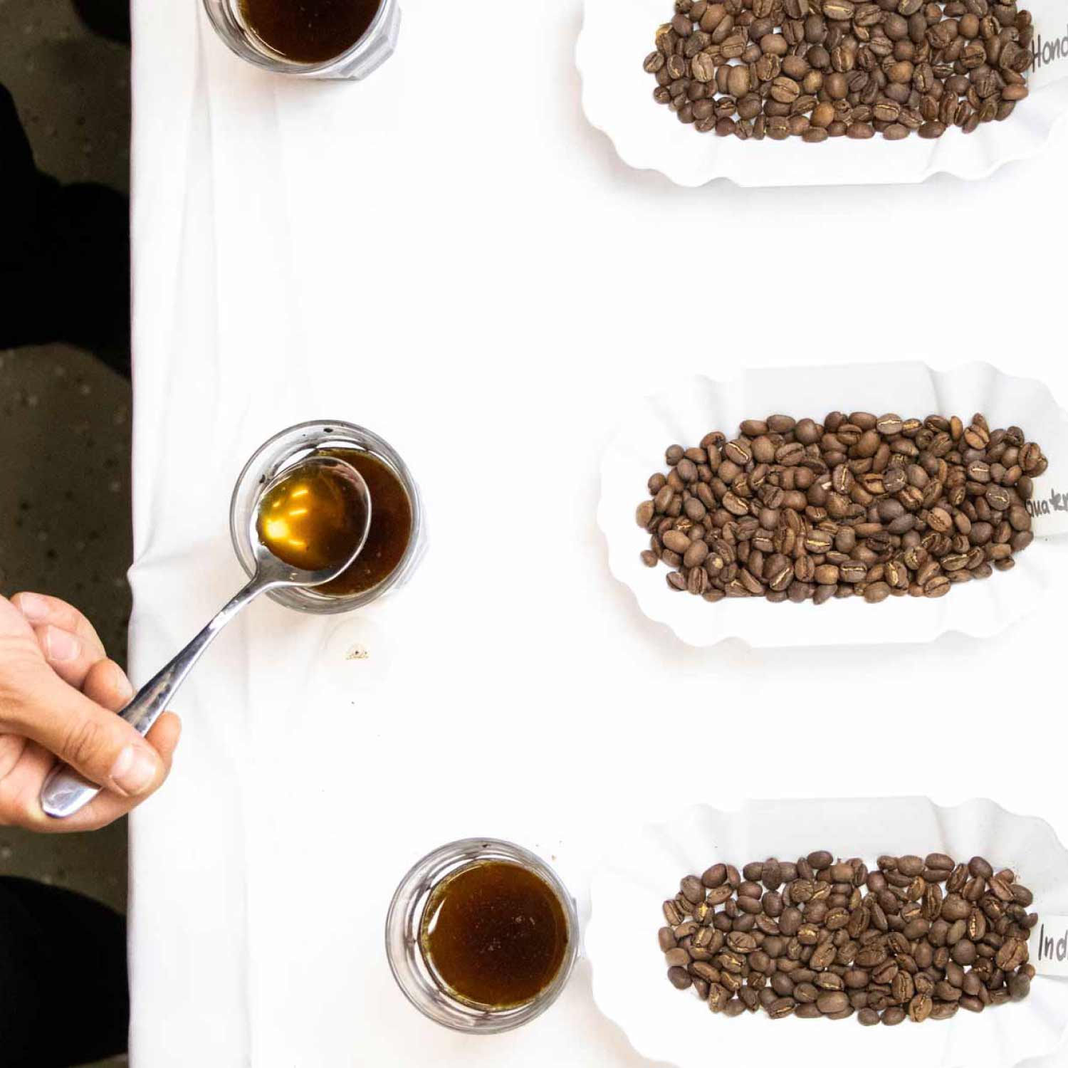 Wholesale | Reeham Coffee